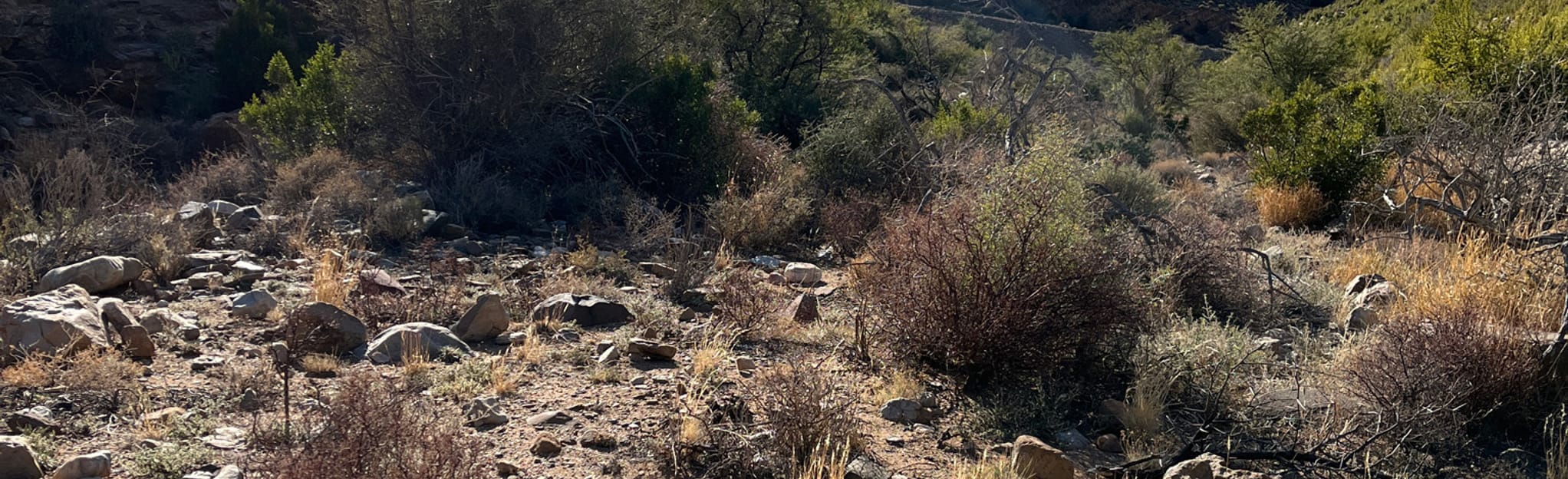 Gamka River Trail - Western Cape, South Africa#N# | AllTrails