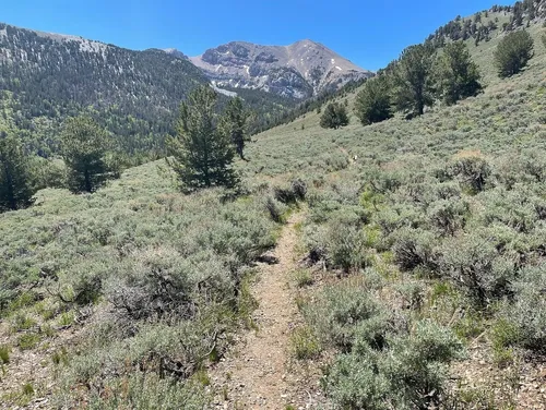 Best Hikes and Trails in Mt. Moriah Wilderness | AllTrails