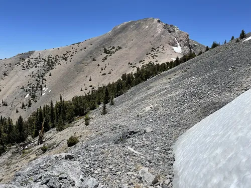 Best Hikes and Trails in Mt. Moriah Wilderness | AllTrails