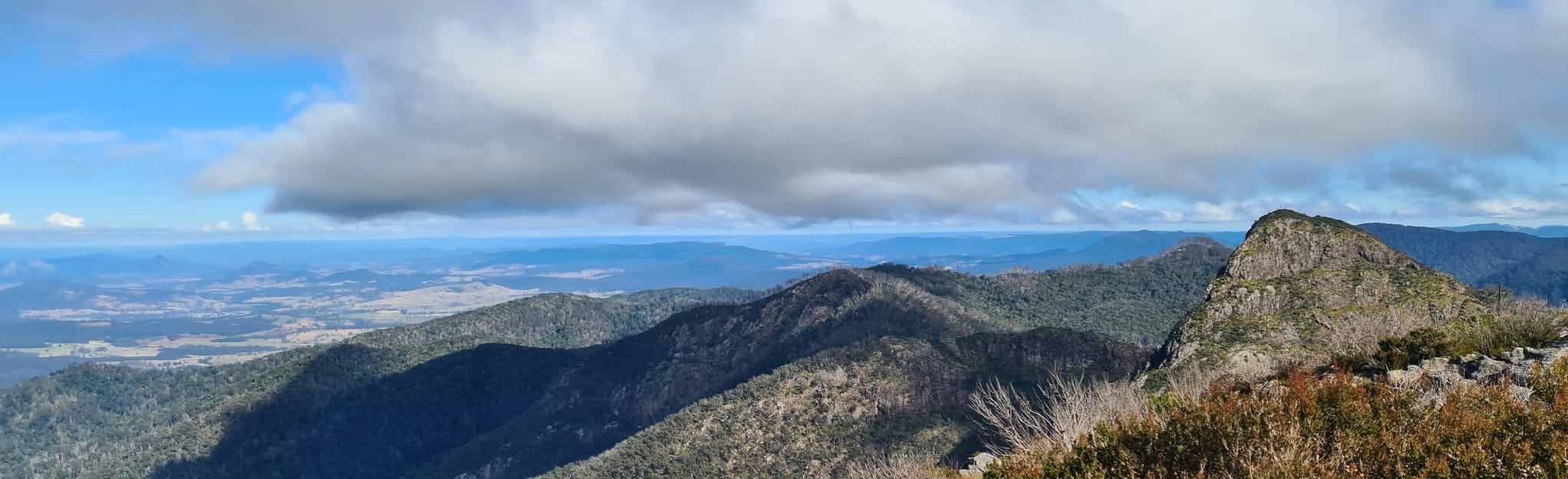 Mt. Barney Savages Ridge Trail Via Cronan Creek Trail - Queensland ...