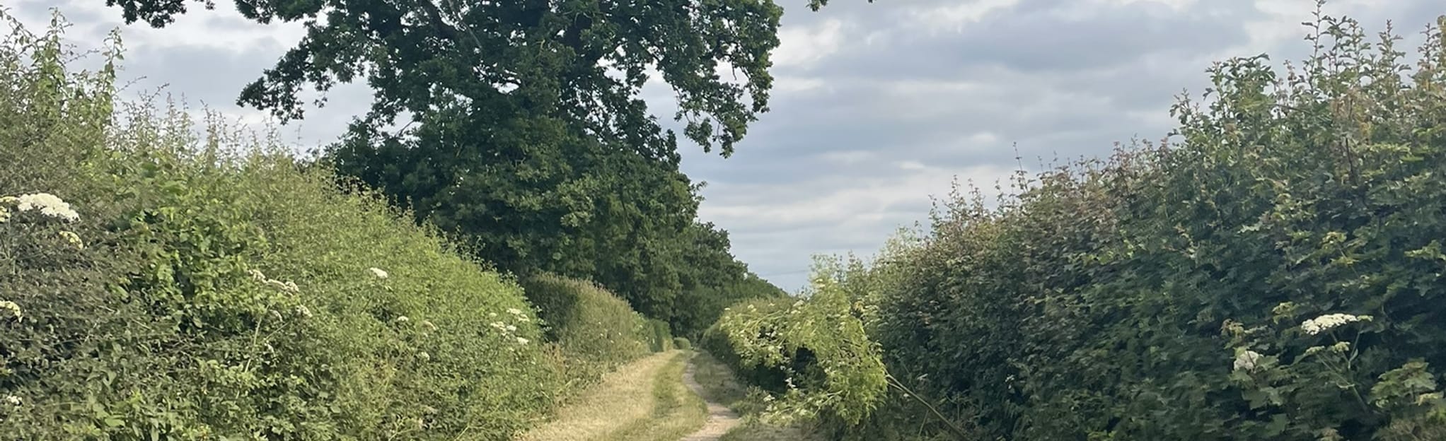 AllTrails | Shenley Boundary: 87 Reviews, Map - Hertfordshire, England