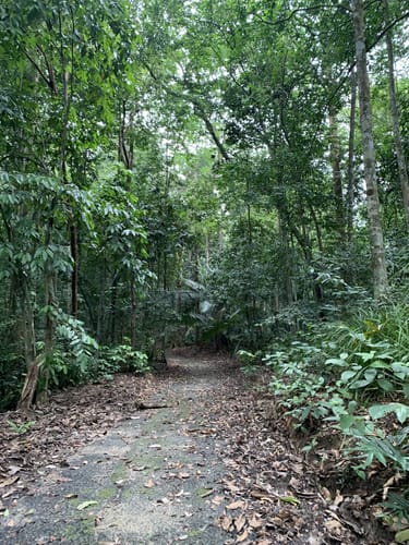 Best Hikes and Trails in Bukit Panchor State Park | AllTrails