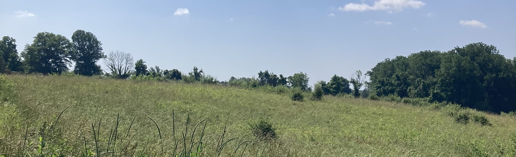 Morning Choice, Ridge Trail and Old Connector Loop, Maryland - 283 ...