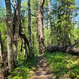 Lost '40' Trail, Minnesota - 158 Reviews, Map | AllTrails