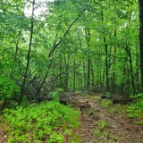 Tarrywile Park Trail, Connecticut - 619 Reviews, Map | AllTrails