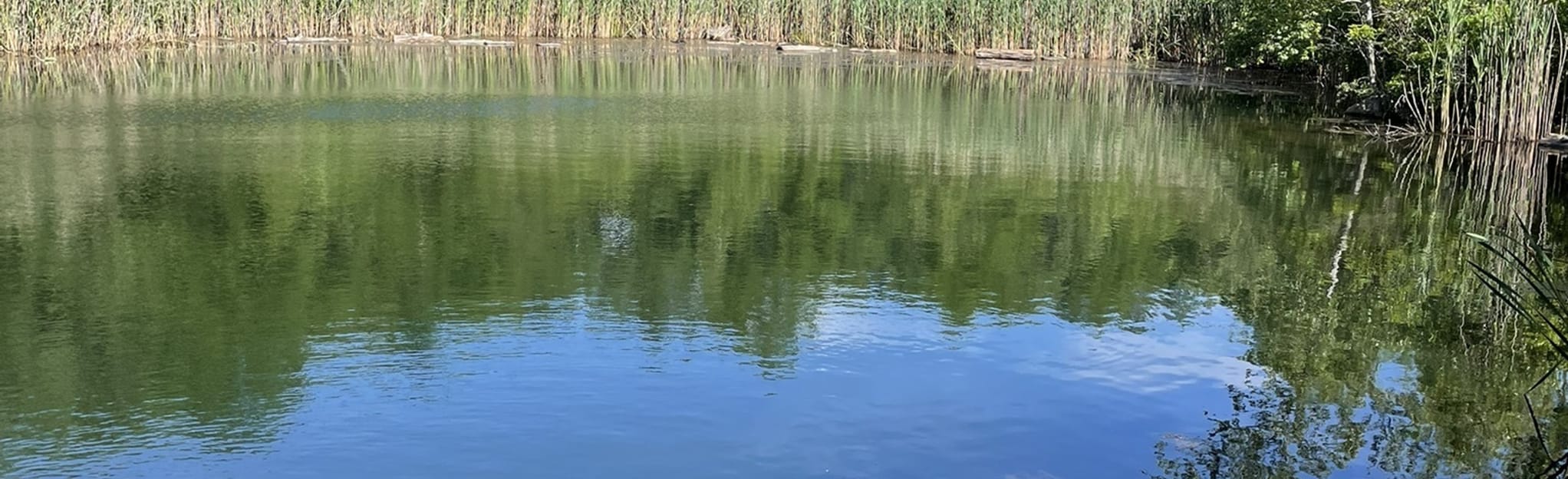 Lake and Quarry Loop, New York - 228 Reviews, Map | AllTrails