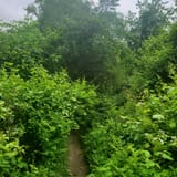 Tarrywile Park Trail, Connecticut - 619 Reviews, Map | AllTrails