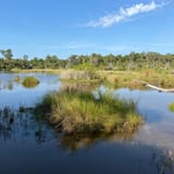 Boardman Pond Observation Platform Trail, Florida - 74 Reviews, Map ...