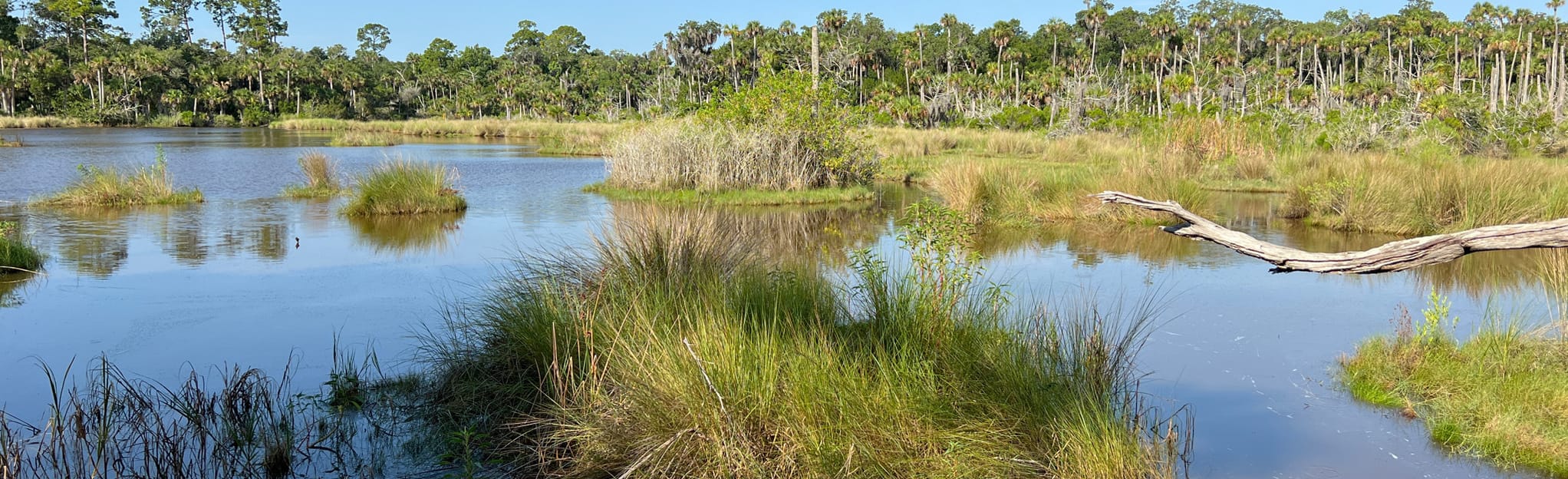Boardman Pond Observation Platform Trail, Florida - 64 Reviews, Map ...