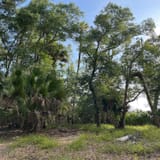 Boardman Pond Observation Platform Trail, Florida - 74 Reviews, Map ...