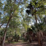 Boardman Pond Observation Platform Trail, Florida - 74 Reviews, Map ...
