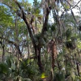 Boardman Pond Observation Platform Trail, Florida - 74 Reviews, Map ...