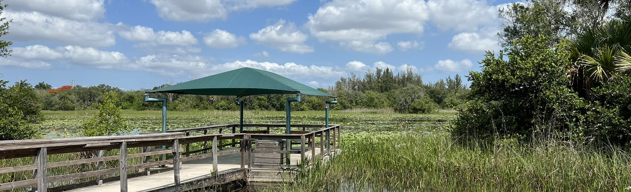 Tree Tops Nature Trail Loop, Florida - 521 Reviews, Map | AllTrails
