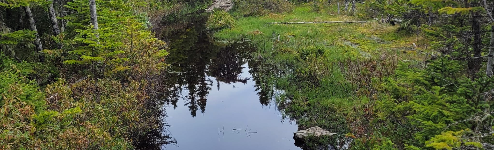 Duck Pond Loop, Newfoundland and Labrador, Canada - 23 Reviews, Map ...
