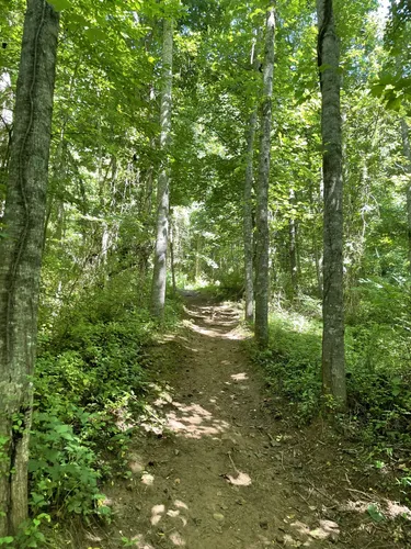 Best Hikes and Trails in Western Carolina University Trail System ...