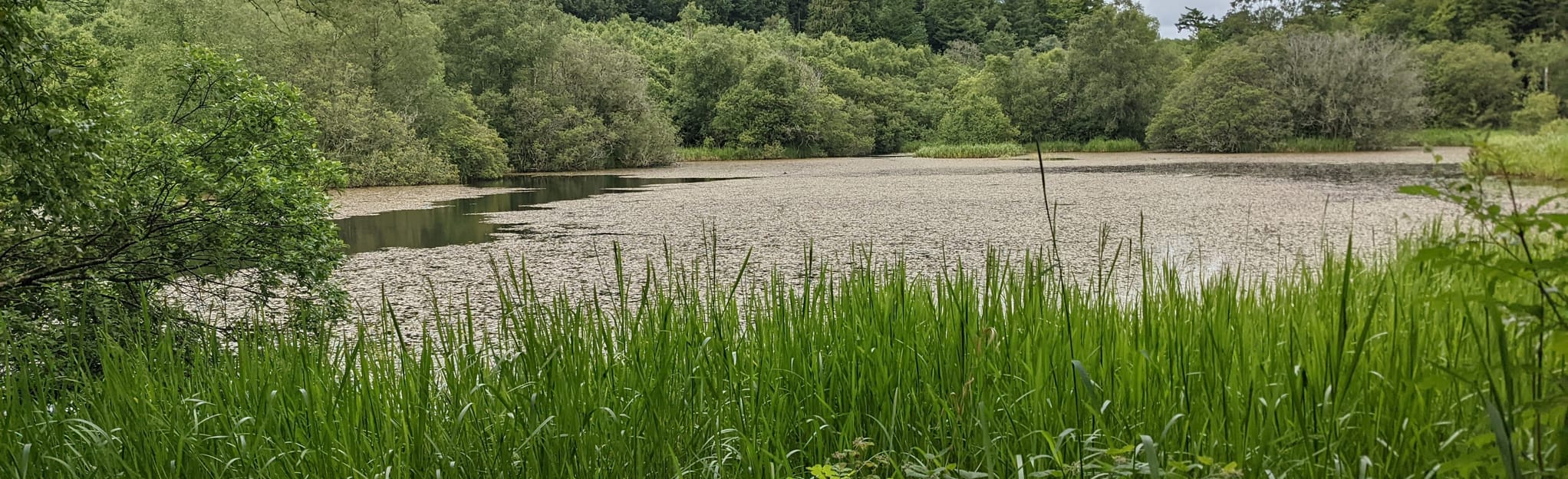 Tourmakeady - Lake Walk: 2 Reviews, Map - County Mayo, Ireland | AllTrails