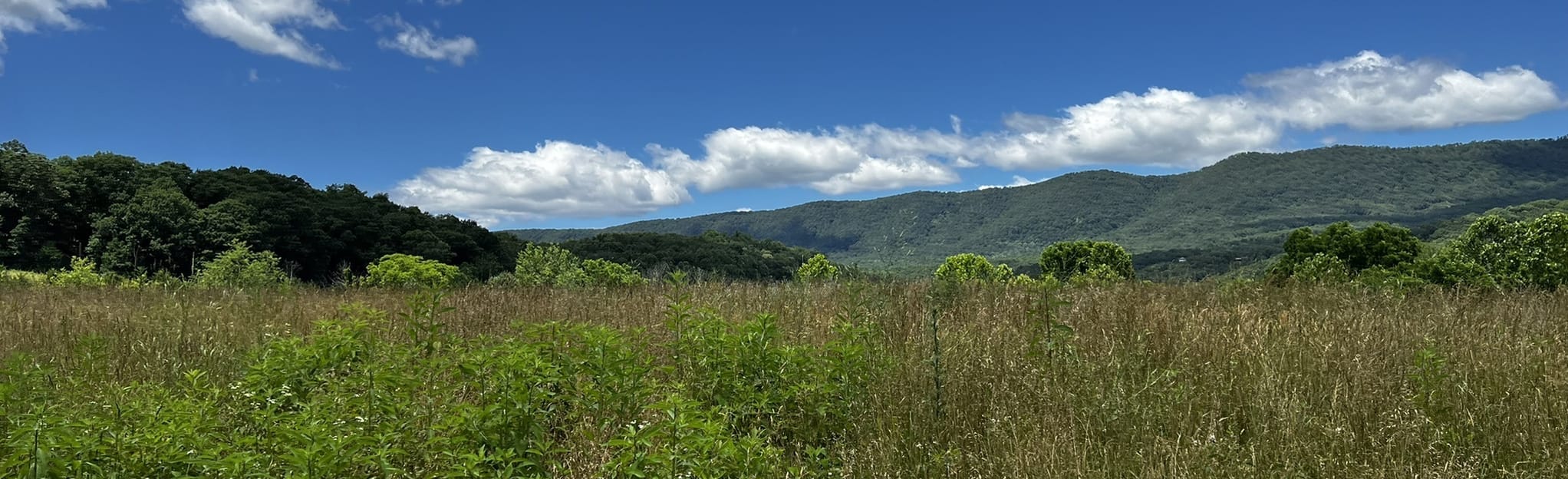 Bear Bottom, Big Oak, Culler's, and River Trail Loop, Virginia - 161 ...
