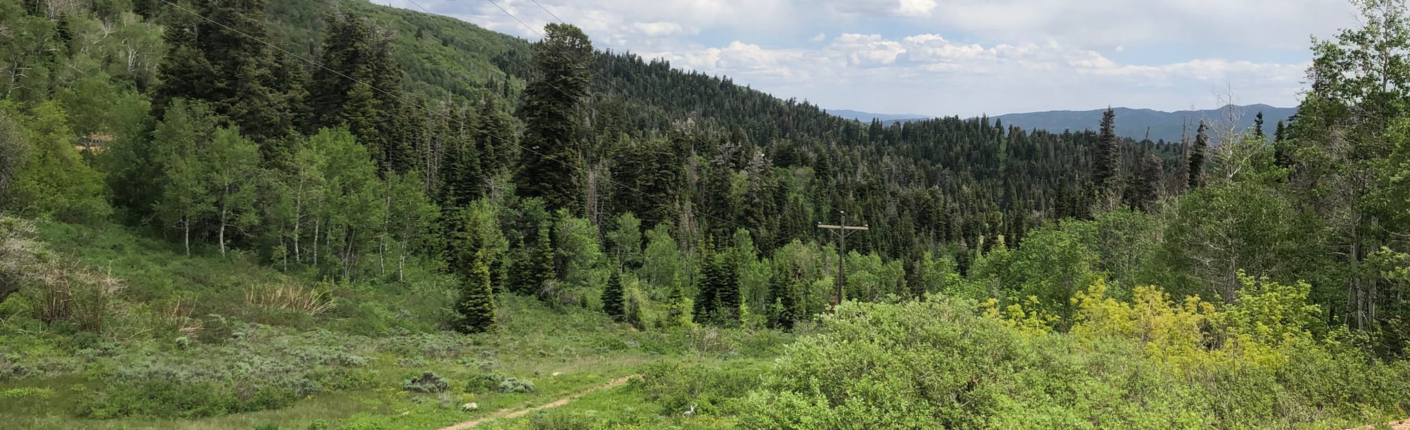 Donner Reed Party and Mormon Pioneer Route (Little Emigration Canyon ...
