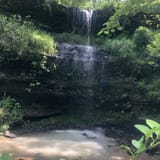 Mill Creek OHV Trail Loop, Arkansas - 117 Reviews, Map | AllTrails