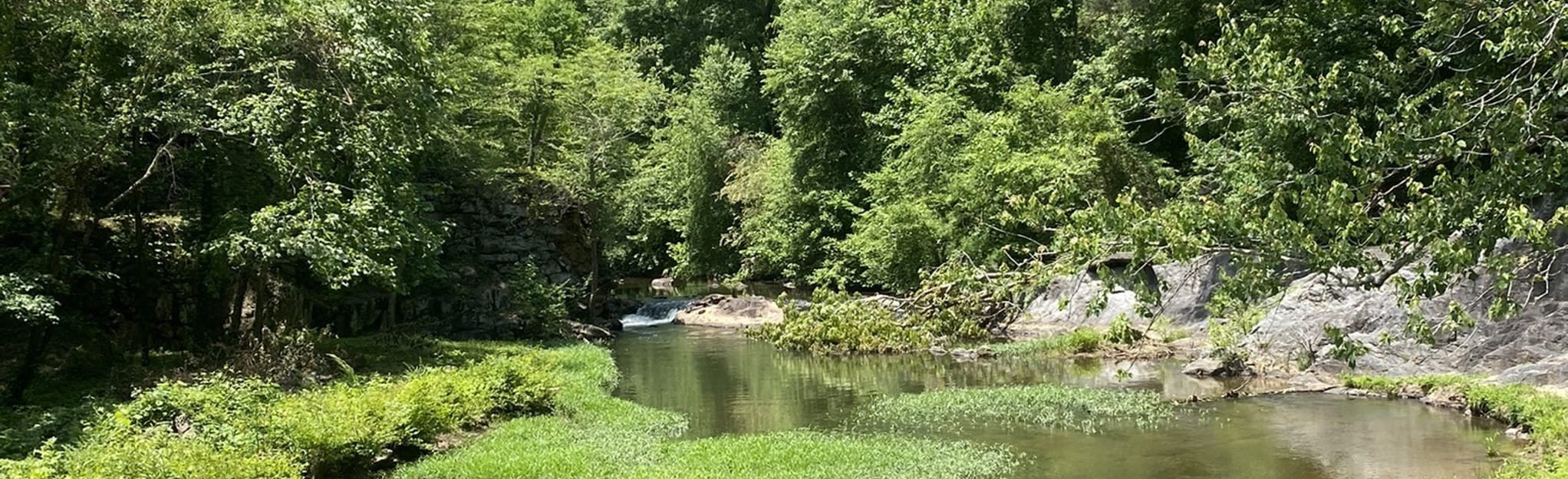 Banning Mills Lower Creek Trail, Georgia - 59 Reviews, Map | AllTrails