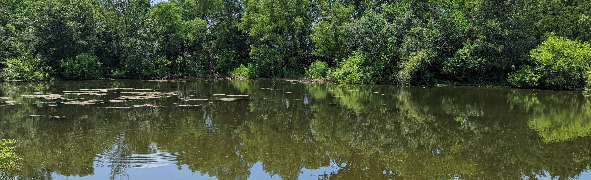 Trinity Trail North from East Fork Trailhead: 85 foto - Texas | AllTrails