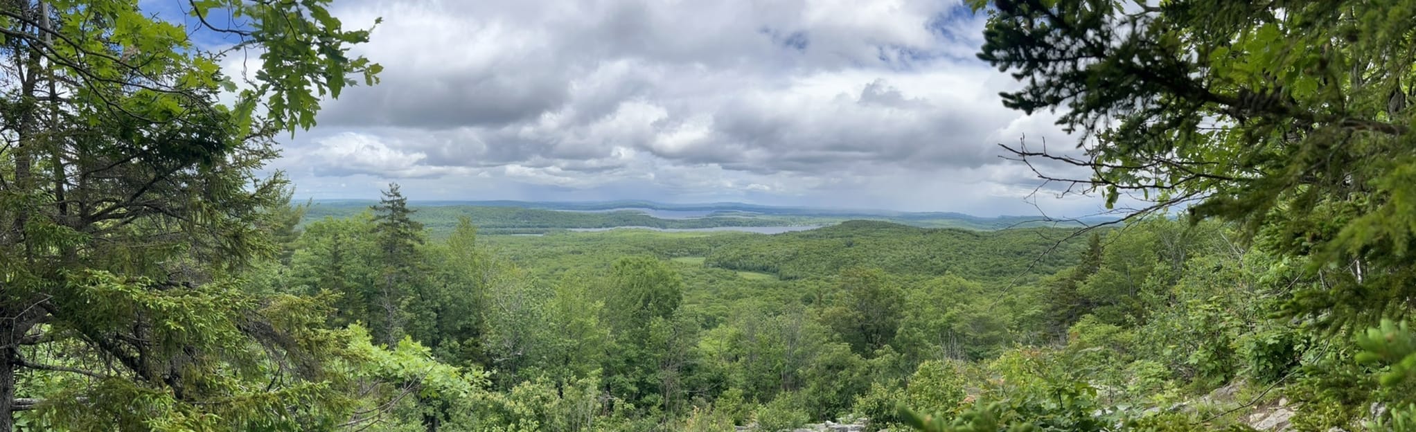 Round Top Trail, Maine - 825 Reviews, Map | AllTrails