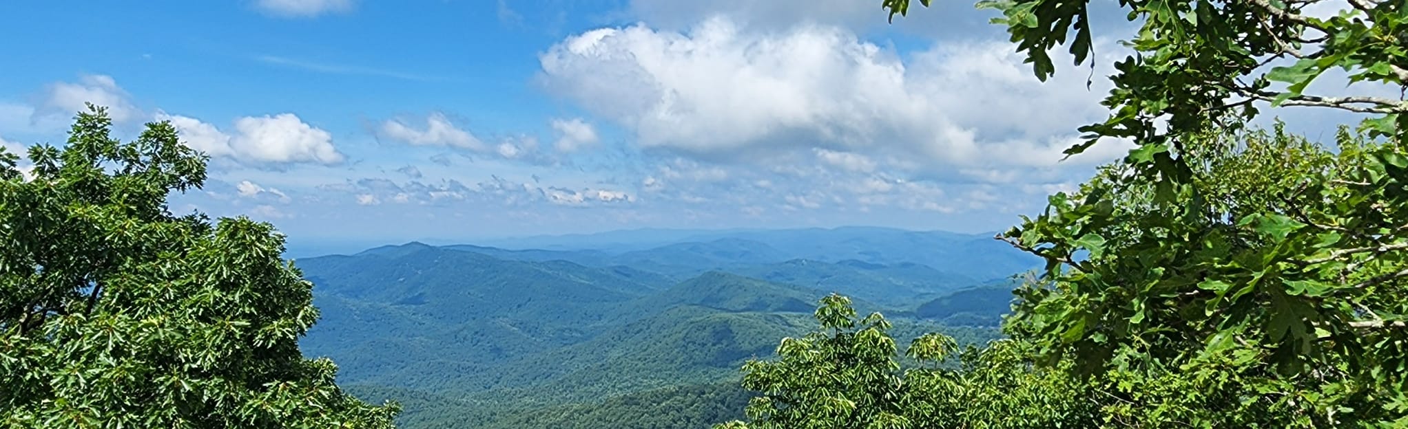 Appalachian Trail: Henry Gap to Neel Gap, Georgia - 109 Reviews, Map ...