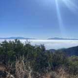 Harding Truck Trail, California - 249 Reviews, Map | AllTrails