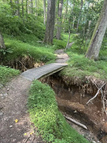 10 Best Trails and Hikes in Reston | AllTrails