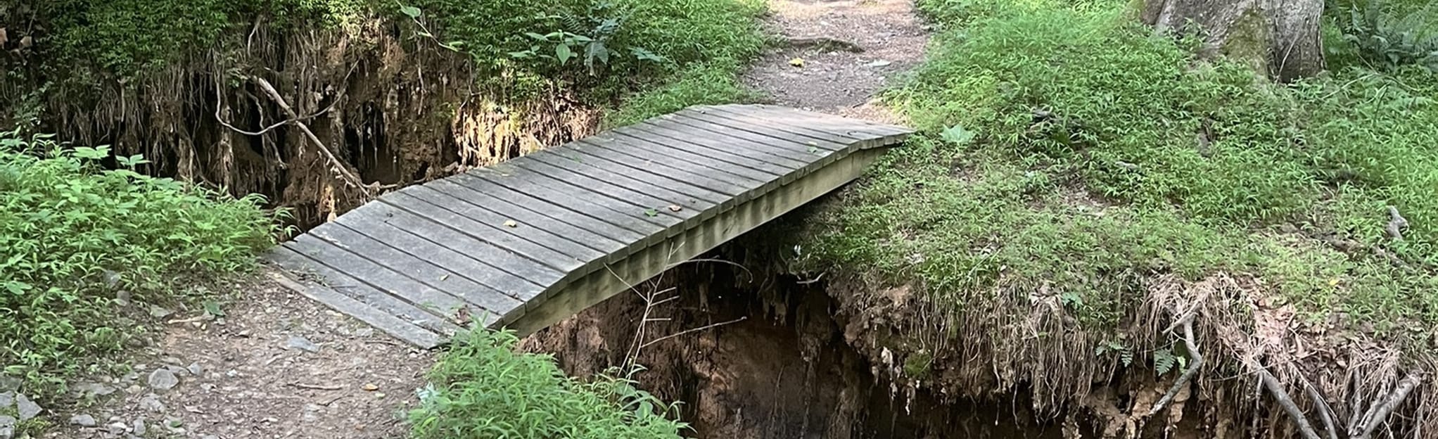 Fred Crabtree Park Trail: 30 Reviews, Map - Virginia | AllTrails