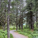 Portage Creek: Trail of Blue Ice, Alaska - 213 Reviews, Map | AllTrails