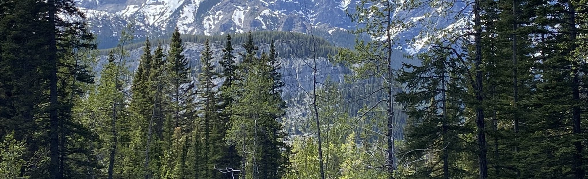 Mount Lougheed Peak 1, Alberta, Canada - 28 Reviews, Map | AllTrails