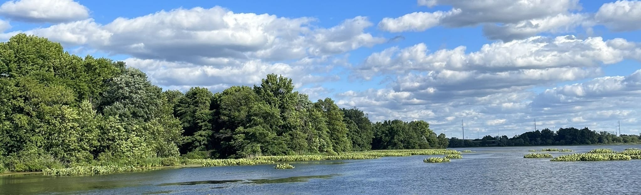 John Heinz Lake Loop | Map, Guide - Pennsylvania | AllTrails