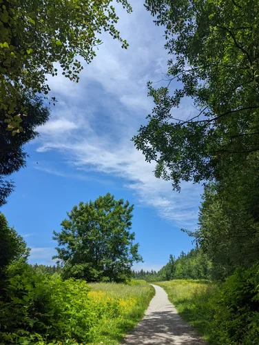 10 Best Walking Trails in Surrey | AllTrails 10 Best Walking Trails in Surrey | AllTrails