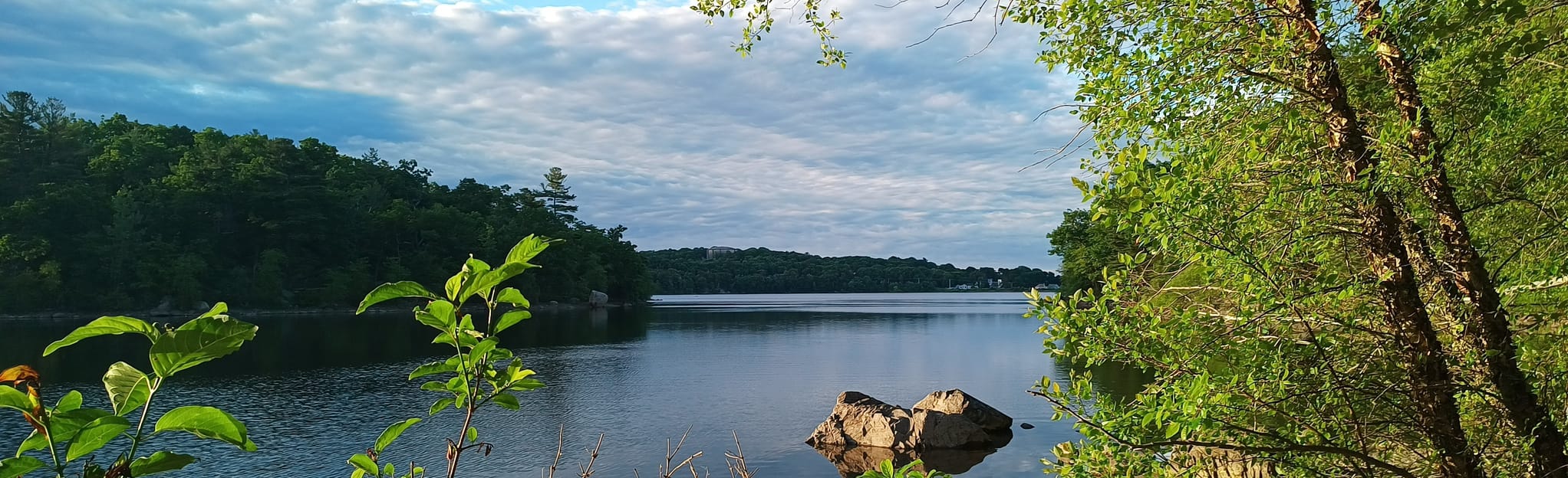 Undercliff Path and Dungeon Road, 507 Photos - Massachusetts | AllTrails