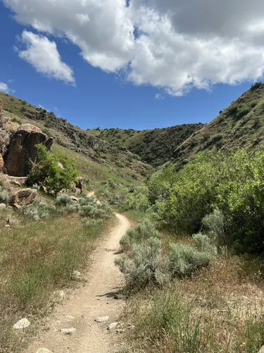 10 Best Hikes and Trails in Avimor Trail Network | AllTrails