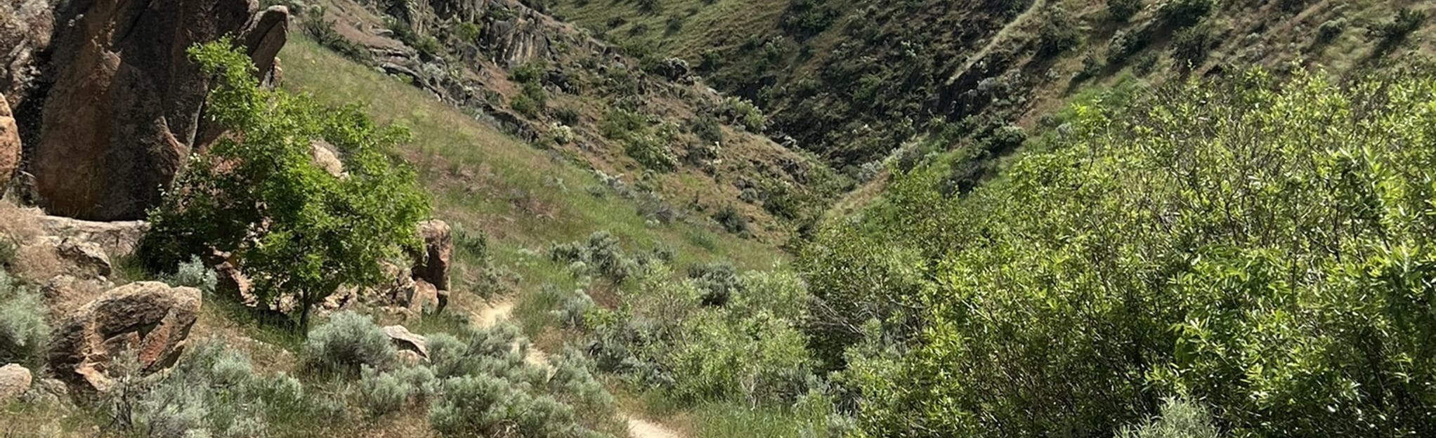 Whiptail and Spring Valley Creek Trail, Idaho - 3 Reviews, Map | AllTrails