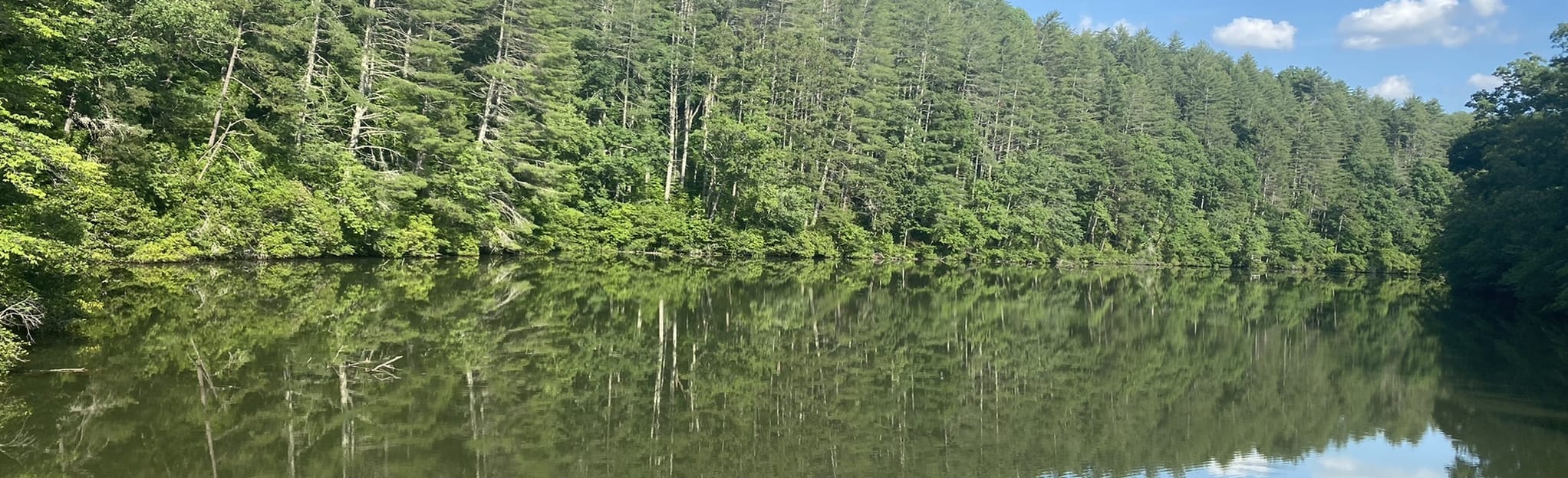 Cherokee Lake Loop, North Carolina - 65 Reviews, Map | AllTrails