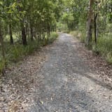 Deagon Wetlands Loop, Queensland, Australia - 32 Reviews, Map | AllTrails