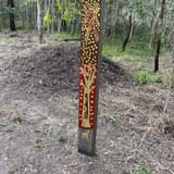 Deagon Wetlands Loop, Queensland, Australia - 32 Reviews, Map | AllTrails