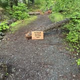 Lake Constance Trail, Washington - 191 Reviews, Map | AllTrails