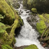 Lake Constance Trail, Washington - 191 Reviews, Map | AllTrails