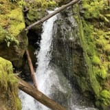 Lake Constance Trail, Washington - 191 Reviews, Map | AllTrails