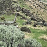 Baring Head Loop, Wellington, New Zealand - 64 Reviews, Map | AllTrails