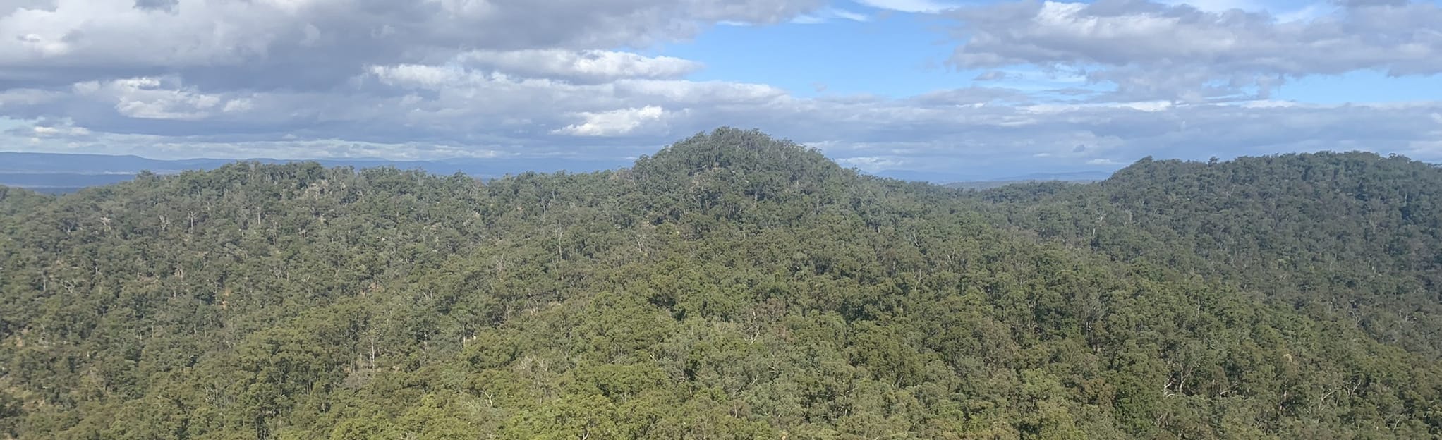 Springfield Lakes to Spring Mountain via Ironbark Track: 22 Reviews ...