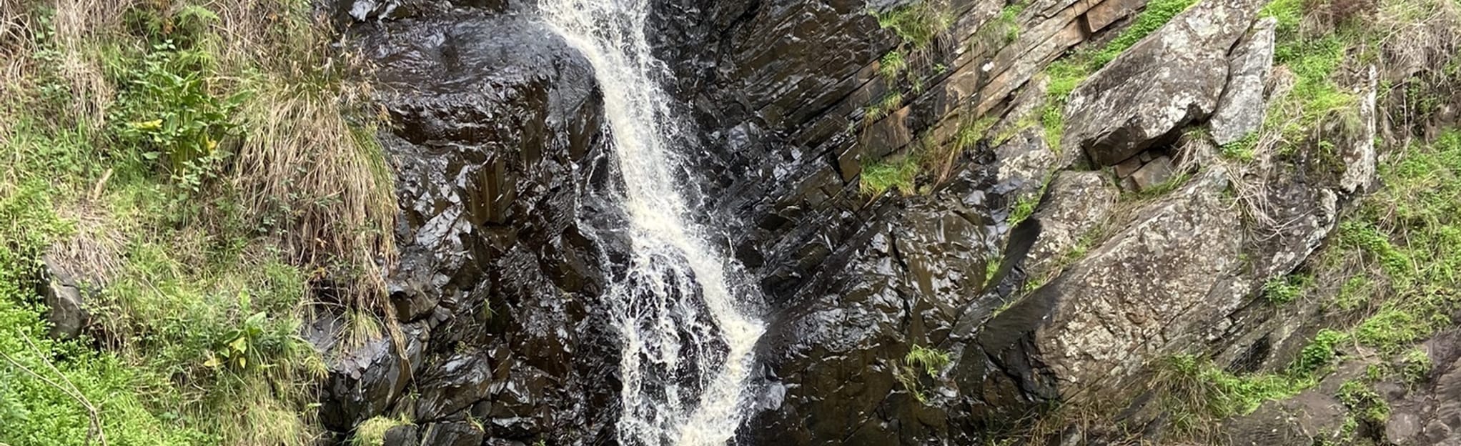 Ingalalla Falls, South Australia, Australia - 33 Reviews, Map | AllTrails