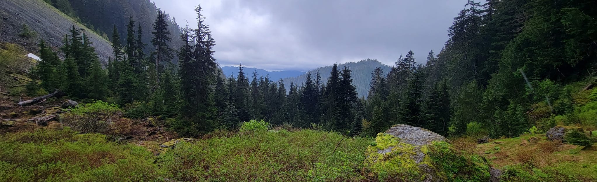 Pete's Creek Trail to Colonel Bob Peak Trail: 386 foto's - Washington ...