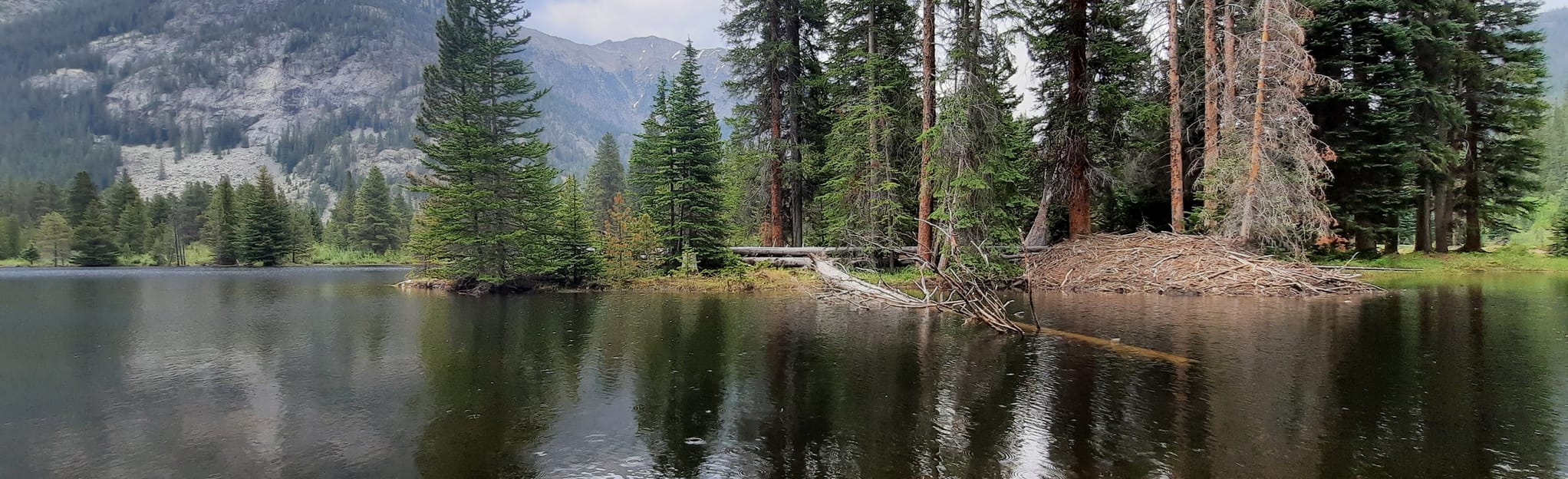 Officers Gulch: 567 Reviews, Map - Colorado | AllTrails