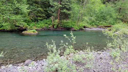 Best Hikes and Trails in Colonel Bob Wilderness | AllTrails