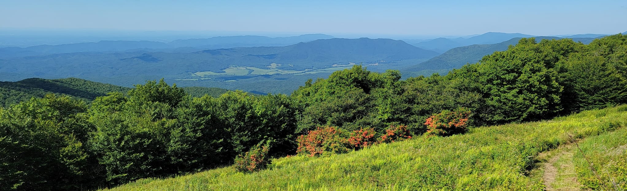 Twentymile, Gregory Bald, and Shuckstack Loop, North Carolina - 126 ...